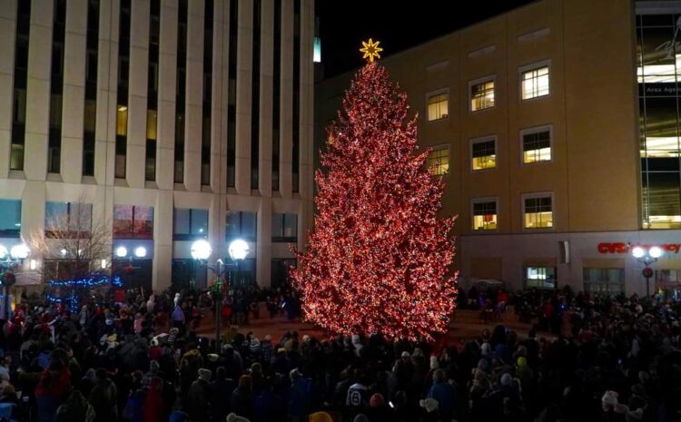 Search continues for 2022 Dayton Holiday Festival tree – Dayton Magazine