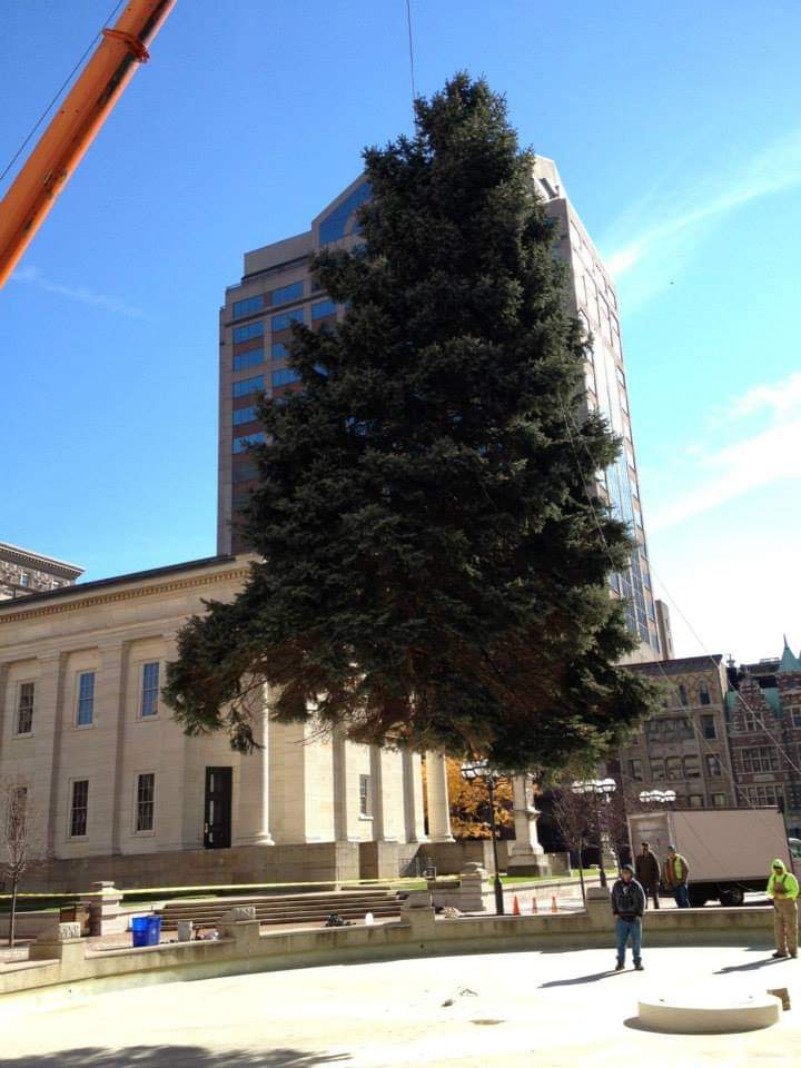 Search continues for 2022 Dayton Holiday Festival tree – Dayton Magazine